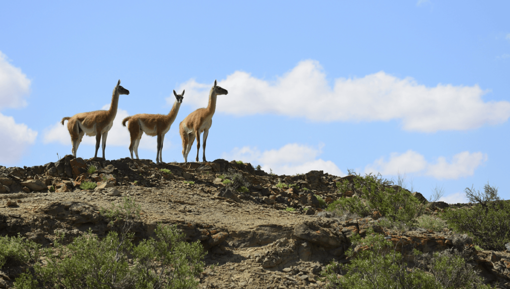 【海外】キャベツ畑の人形の驚くべき10の秘密！知って驚く意外な真実とは？ - Faddist! -海外の楽しいニュースを紹介しています-