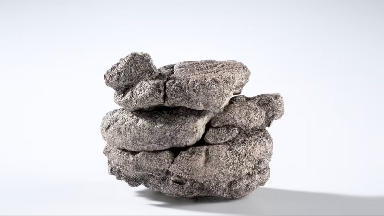 【海外】「デンバー博物館、駐車場地下で化石発見！驚きの偶然とは？」 - Faddist! -海外の楽しいニュースを紹介しています-