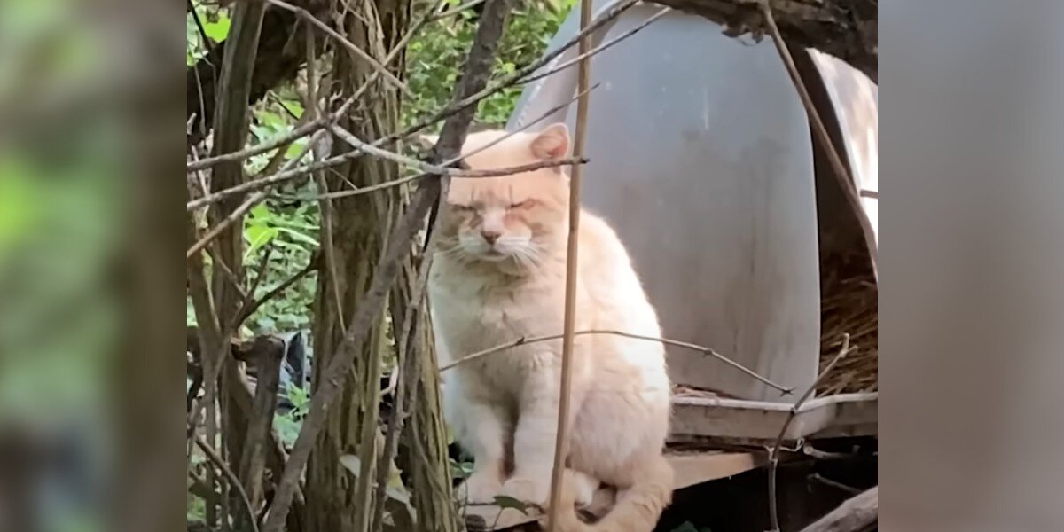 【海外】家族が6年前に引っ越し、彼を置き去りにした理由とは？ - Faddist! -海外の楽しいニュースを紹介しています-