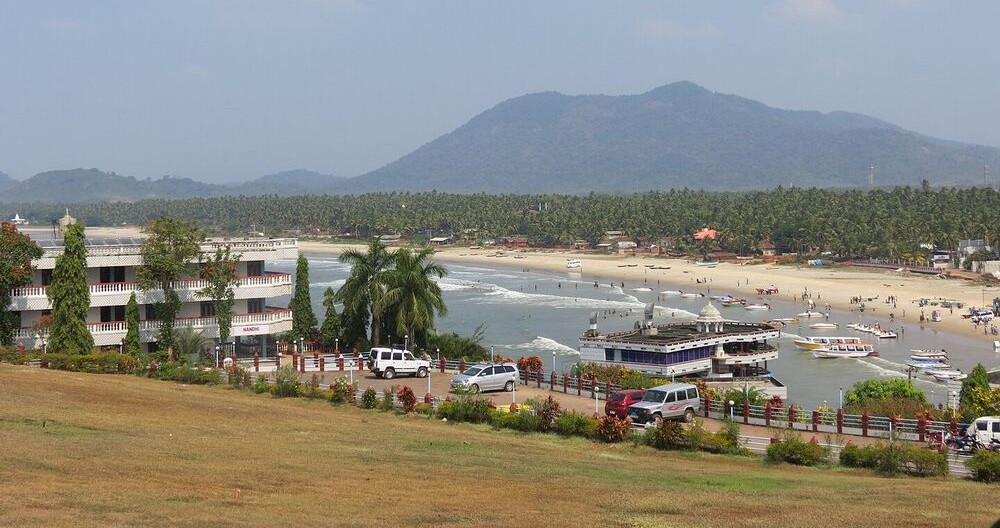 【海外】「10万の新職が海岸を守る！プラスチックや開発から生物を救うプロジェクトとは？」 - Faddist! -海外の楽しいニュースを紹介しています-