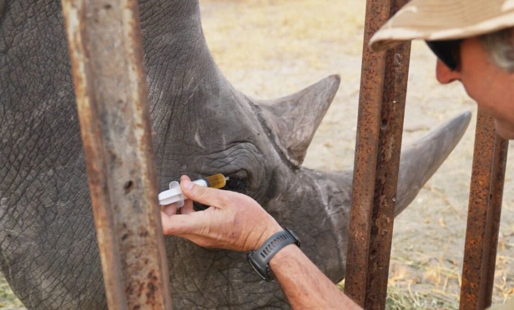 【海外】「フロリダ動物園の革新的な獣医療で病気のサイが驚異の回復！ 地元住民も感動」 - Faddist! -海外の楽しいニュースを紹介しています-
